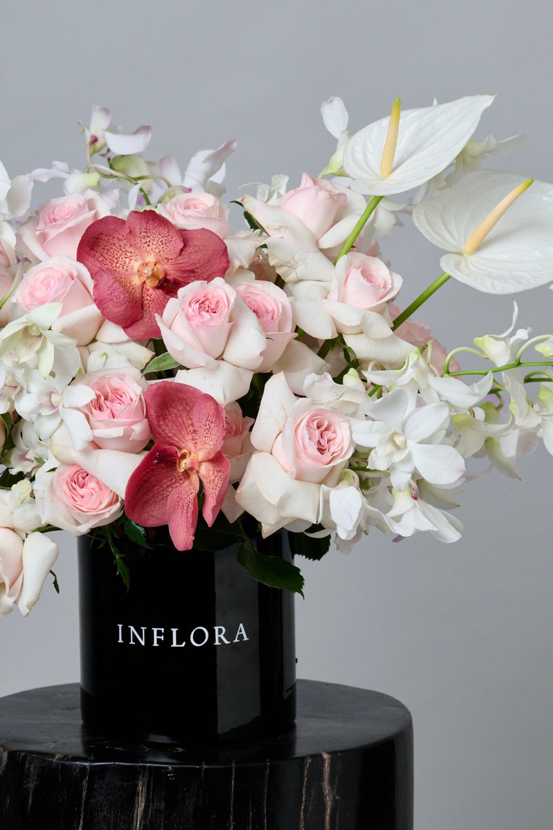 Baby Pink – Regala Inflora